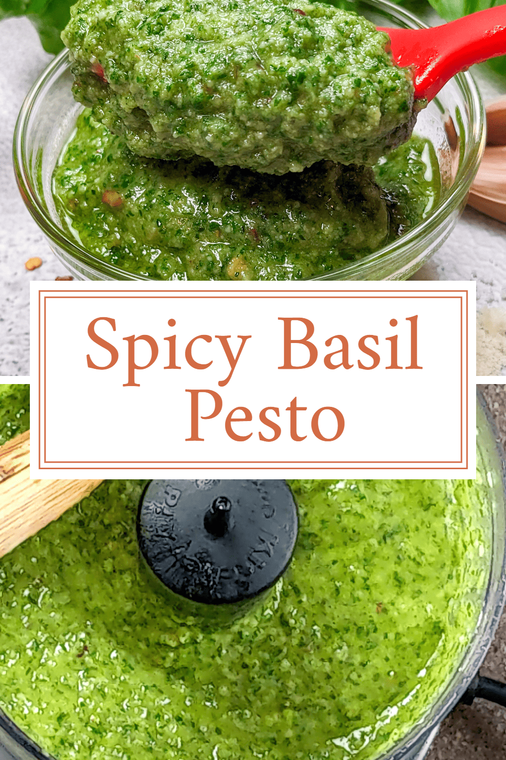 Spicy Basil Pesto, Easy Homemade - Just Maika Cooking