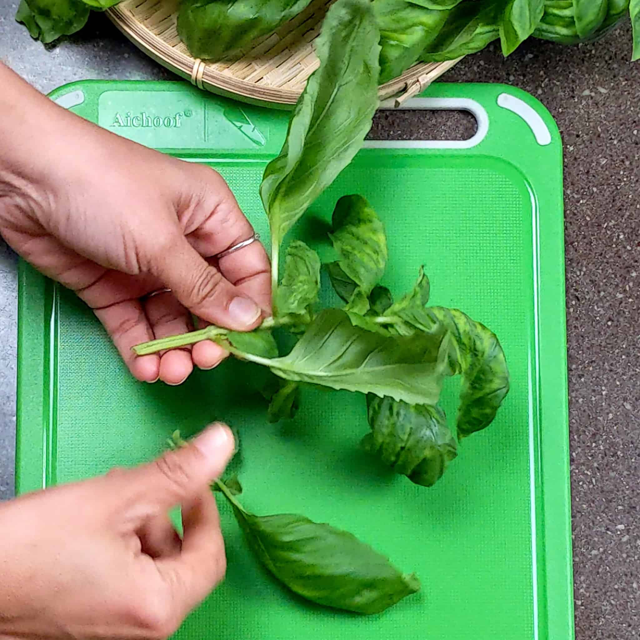 Spicy Basil Pesto, Easy Homemade - Just Maika Cooking