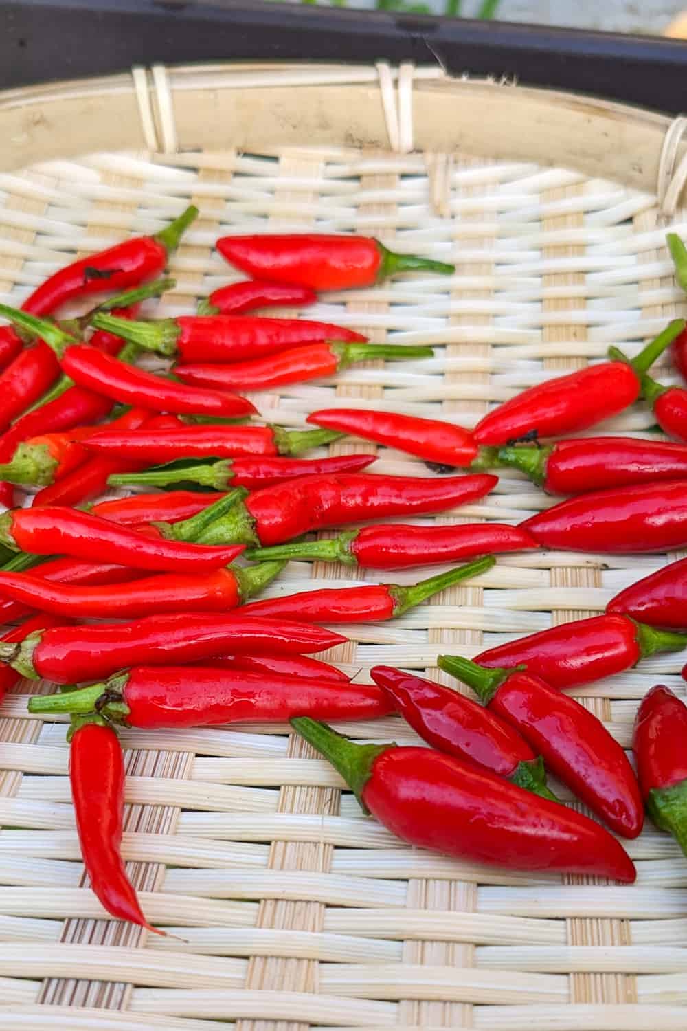 Scoville Scale and Chili Peppers - Just Maika Cooking