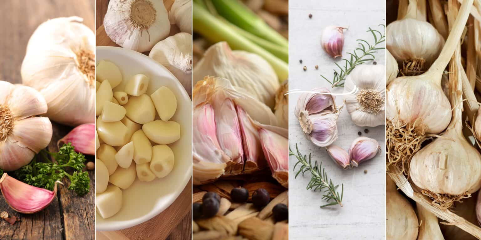 How to Use Garlic in Cooking: Easy Tips for Beginners - Just Maika Cooking