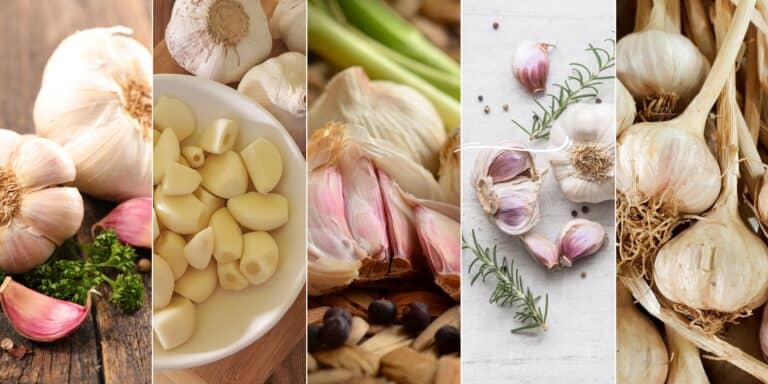 How to Use Garlic in Cooking: Easy Tips for Beginners - Just Maika Cooking
