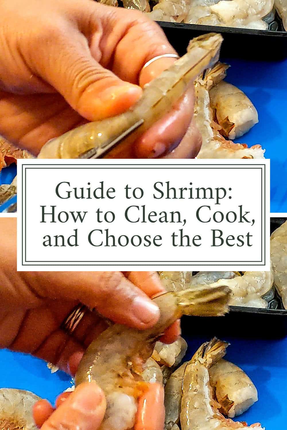 Guide to Shrimp: How to Clean, Cook, and Choose the Best - Just Maika ...