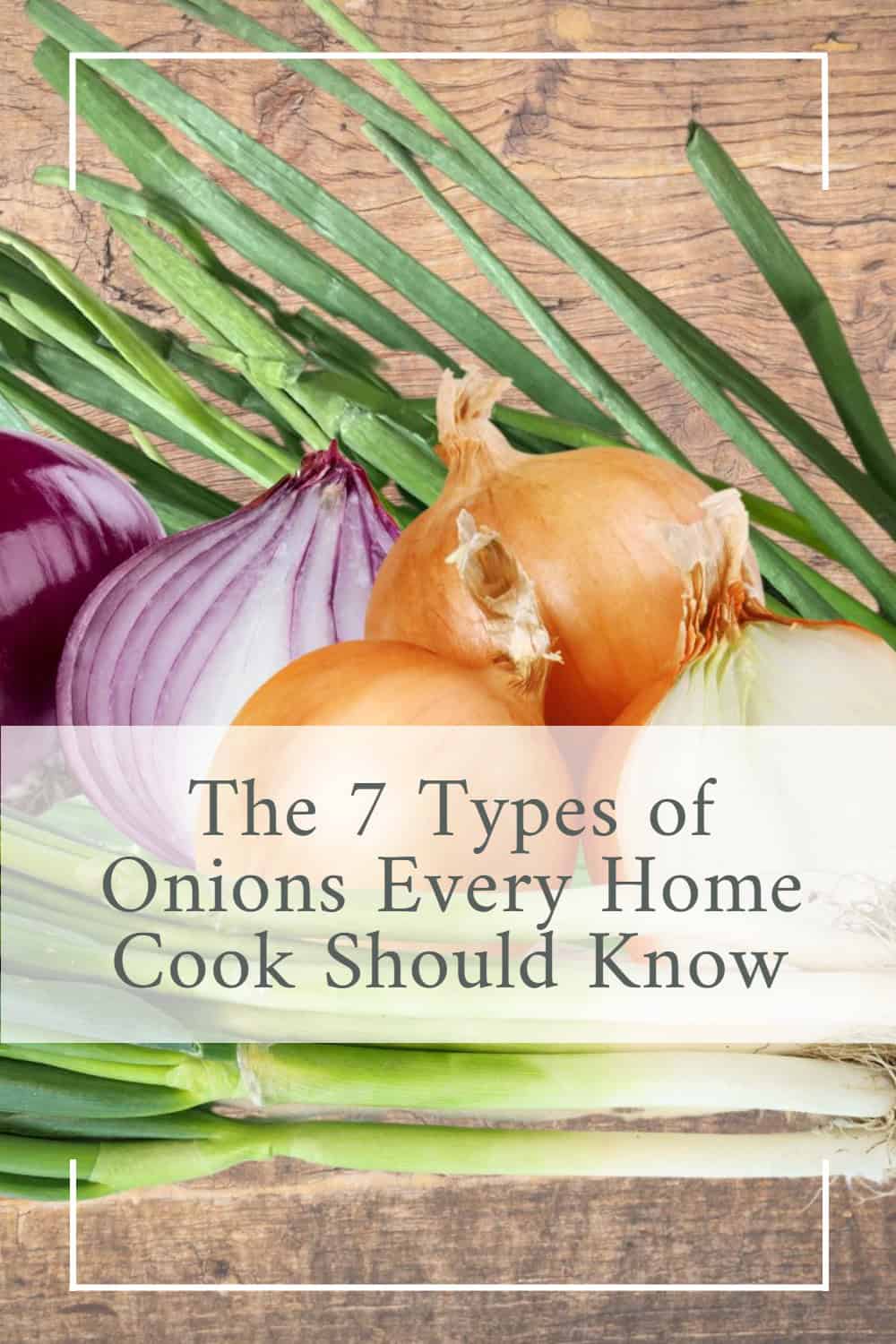 7 Types of Onions Explained (and Exactly When to Use Each One) - Just ...