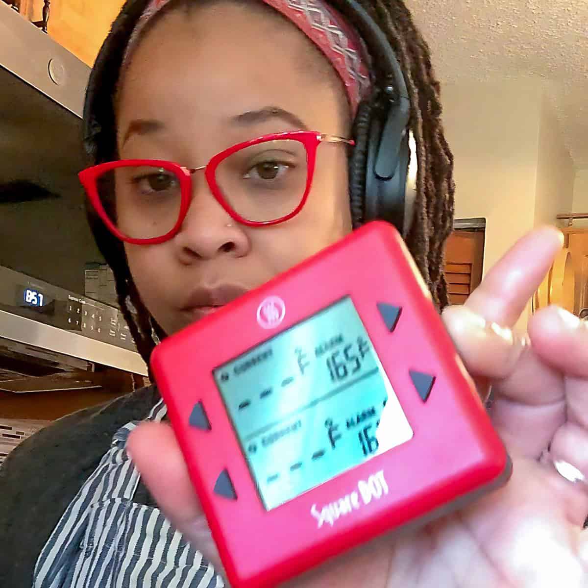 Understanding Food Temperature Safety Zones - Just Maika Cooking